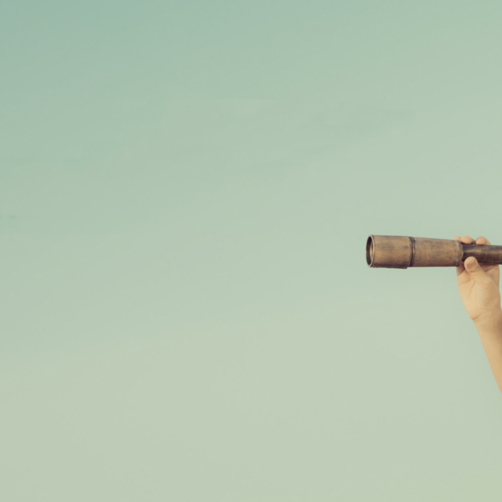 Tender Team | Tender Specialists | Tender & Bid Consultancy Ireland